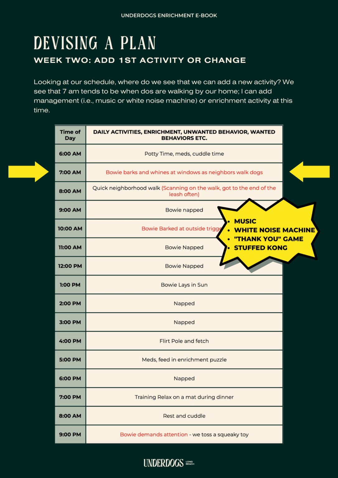 How to build a Canine Enrichment plan - underdogslb.com