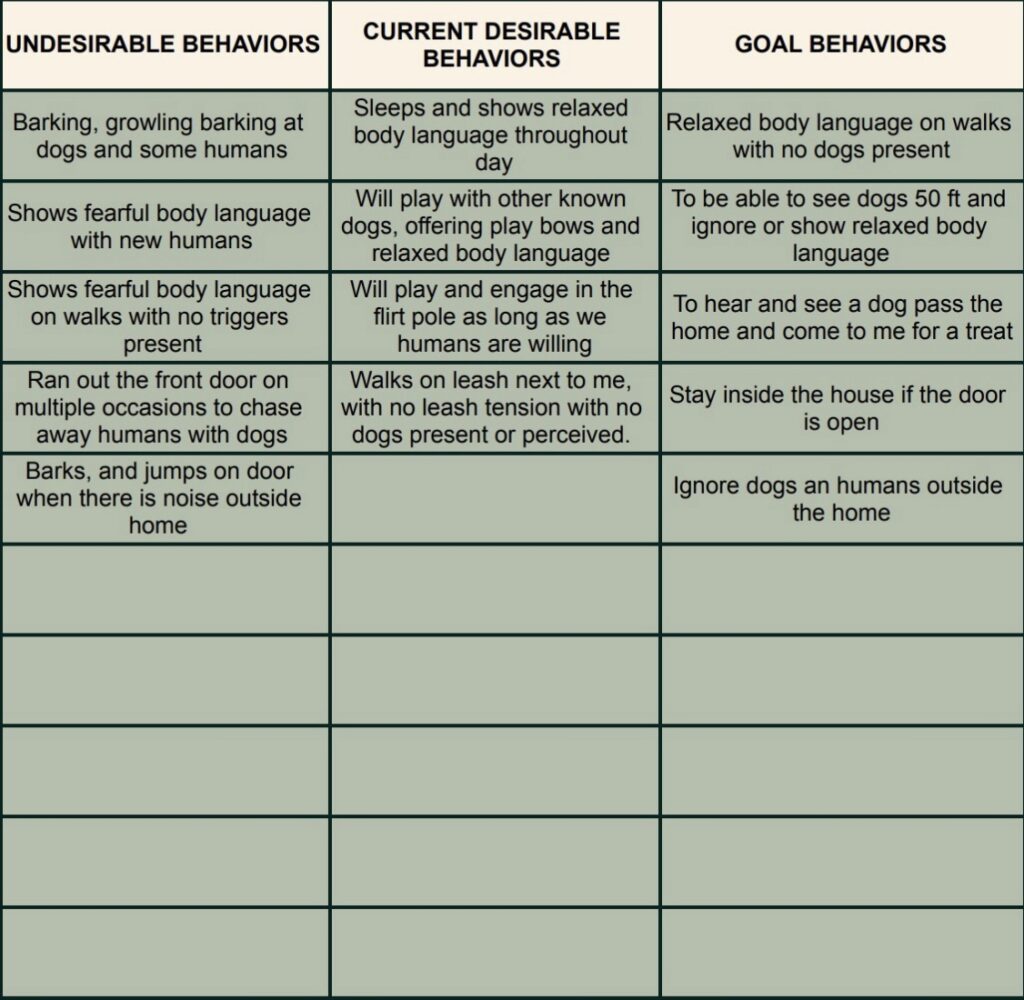 How to build a Canine Enrichment plan - underdogslb.com